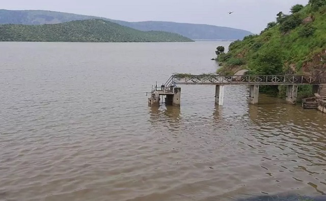 What are man-made Wetlands? Know the process, benefits here