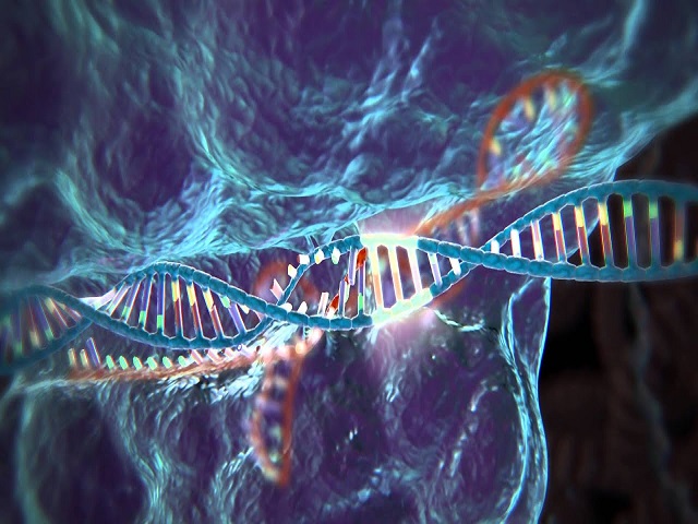What is Genome Editing or CRISPR Technology?
