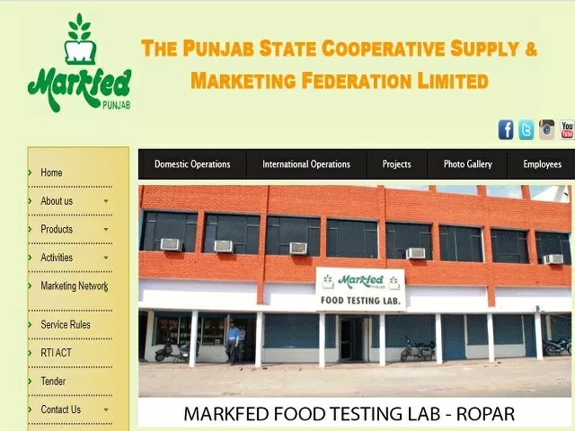 Punjab Markfed Recruitment 2021 for 227 Salesman Assistant Accountant ...