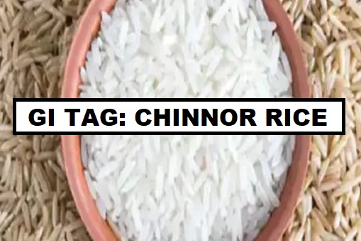 Chinnor Rice Balaghat: First agricultural produce from MP to get GI Tag