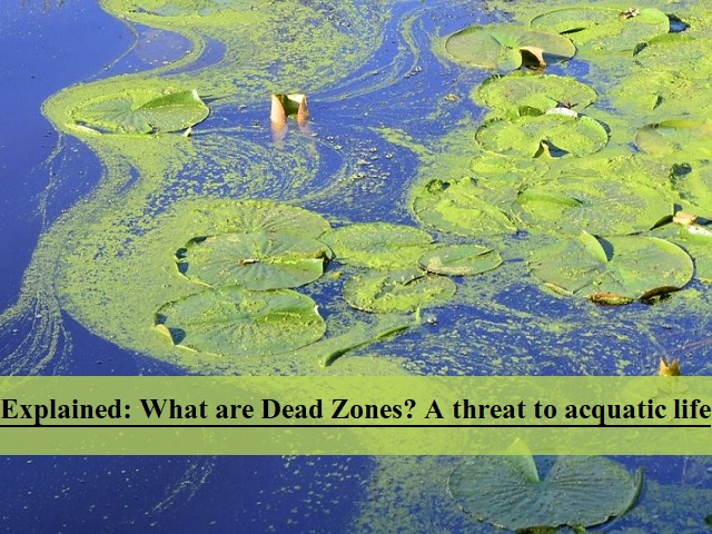 Explained What Are Dead Zones And How Are They Created 