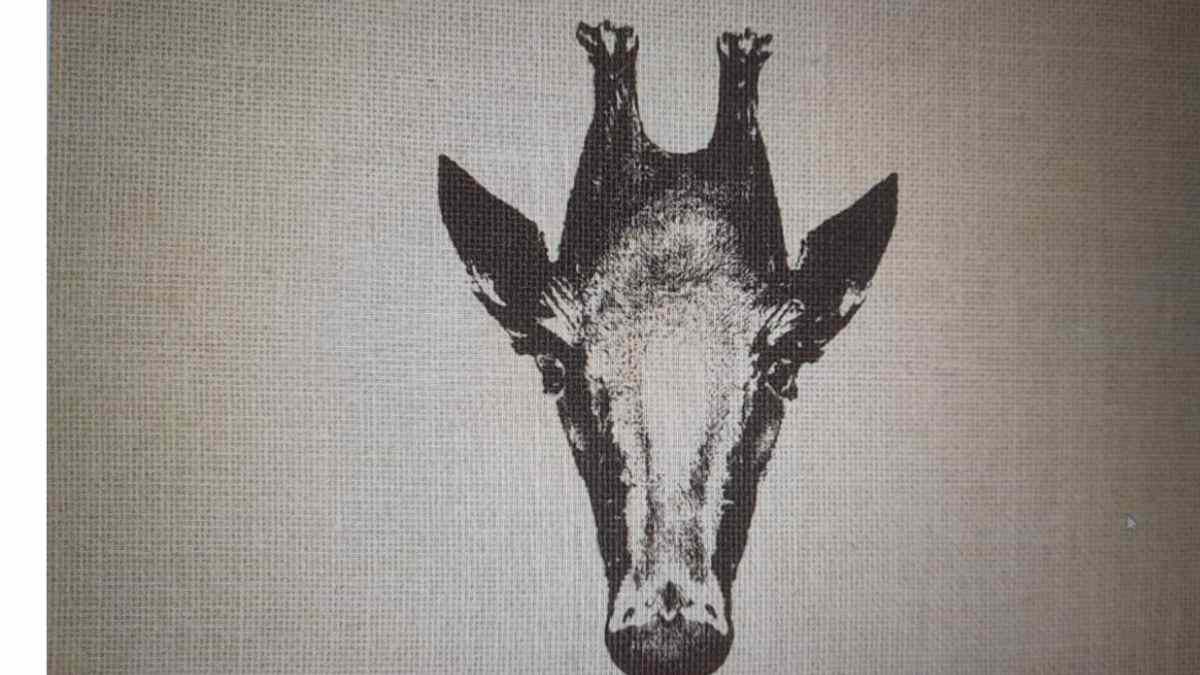 Giraffe Head Or A Bird? This Optical Illusion Test Will Make You Doubt ...
