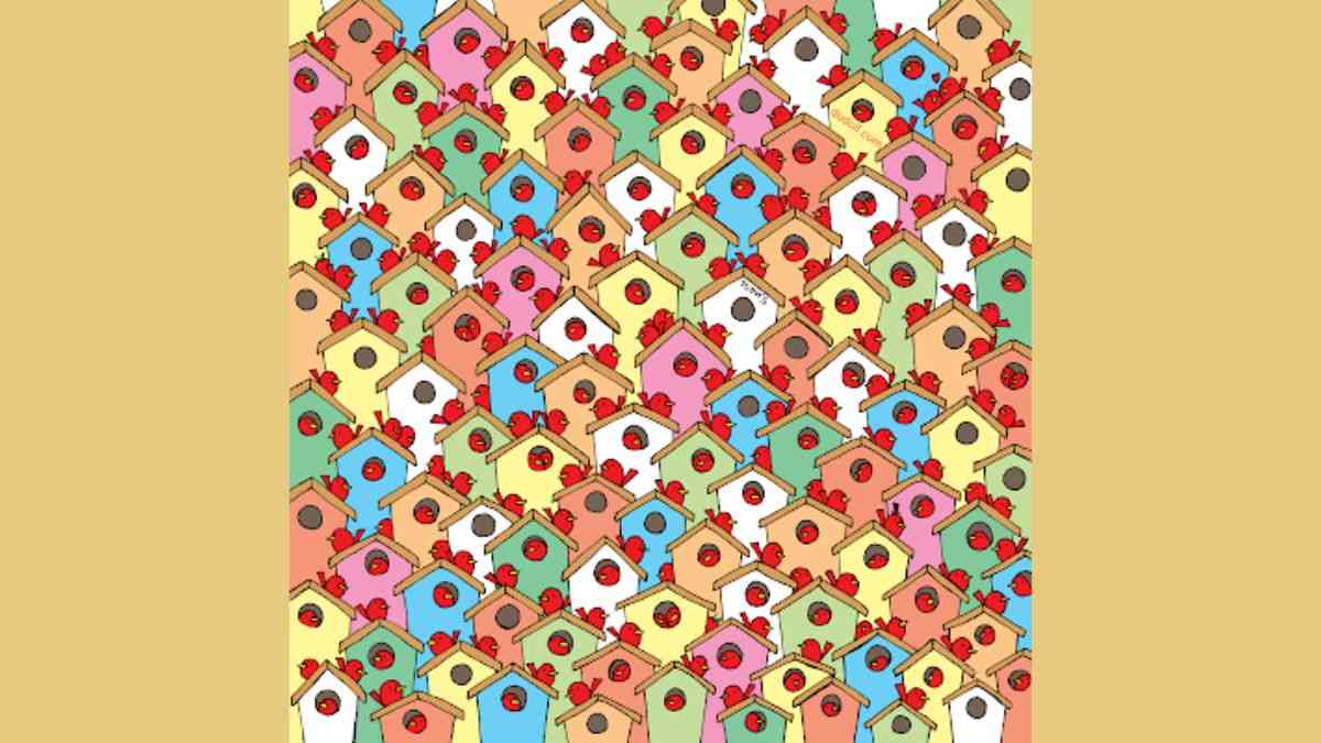 Optical Illusion: Can you spot three hidden apples in 9 seconds?