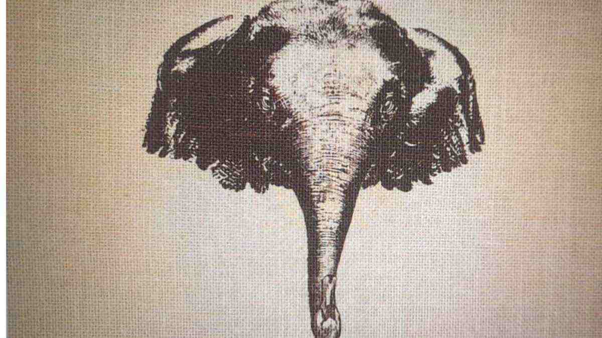 Do You Love Animals? Test Yourself By Finding 2 Animals In This Mind ...