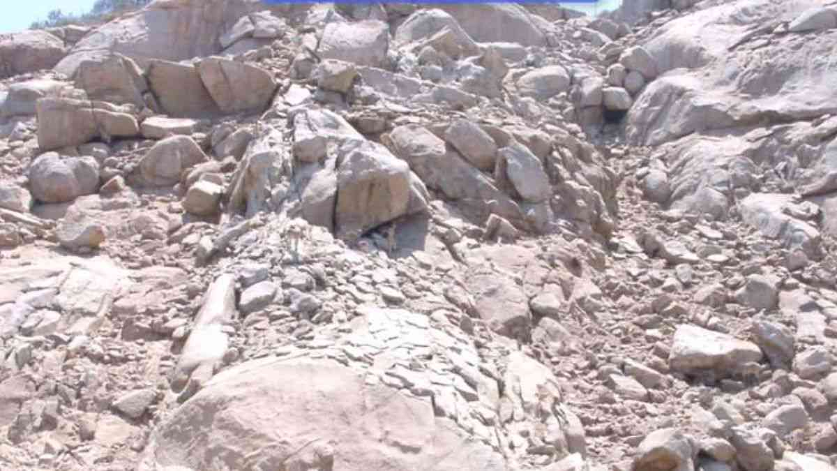 Optical Illusion: Can you spot the Hidden Deer within 9 seconds?