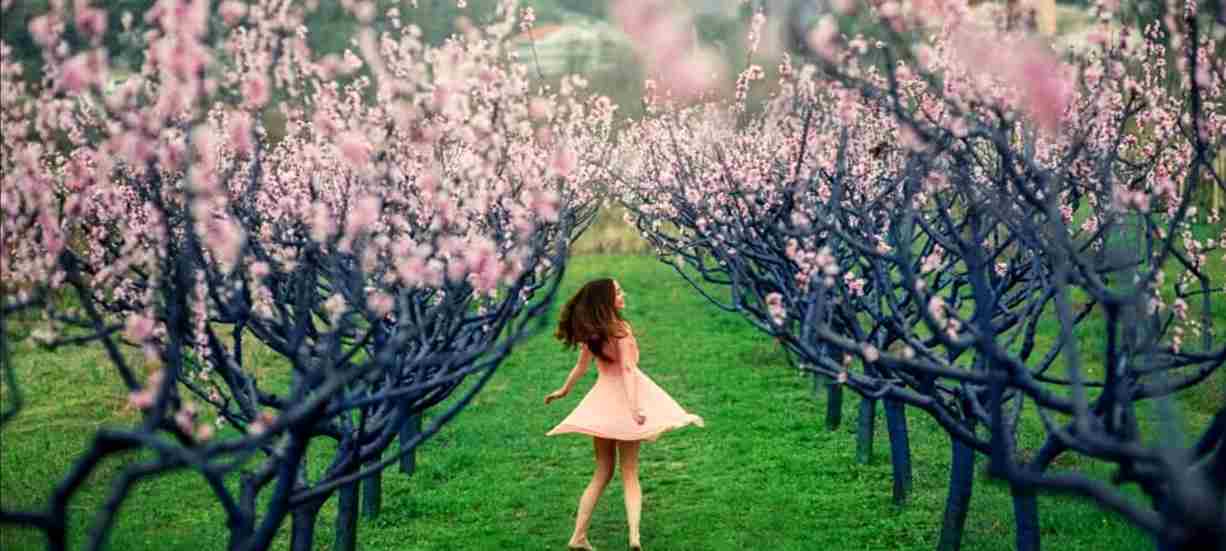 Oh Beautiful Girl, There’s A Bee In The Garden! Can You Find It In 10 ...