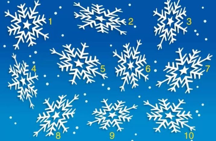 Brain Teaser Picture Puzzle: Can you find out the Odd Snowflake in 9 ...