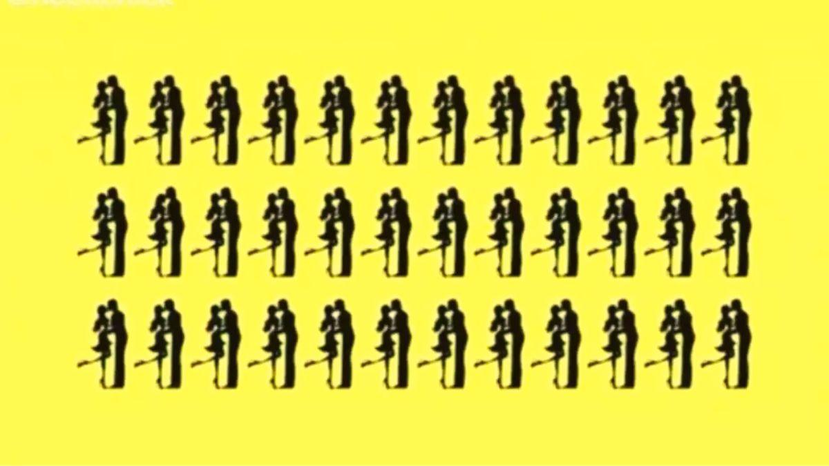 Optical Illusion: Spot the odd couple in the picture within 7 seconds ...