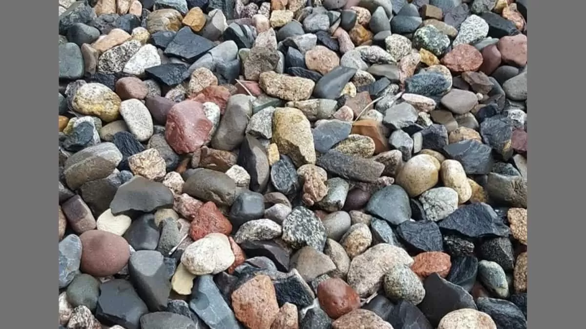 Can You Find The Hidden Frog In This Optical Illusion Picture In 11 Seconds