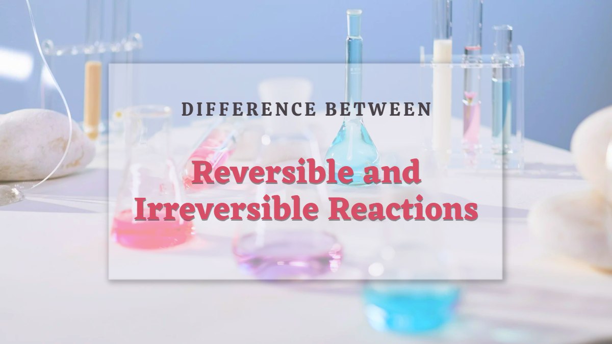 What Is The Difference Between Reversible And Irreversible Reaction What Is The Difference Between Reversible And Irreversible Reaction