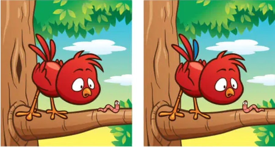 Spot The Difference: Can you spot 5 differences in 27 seconds?