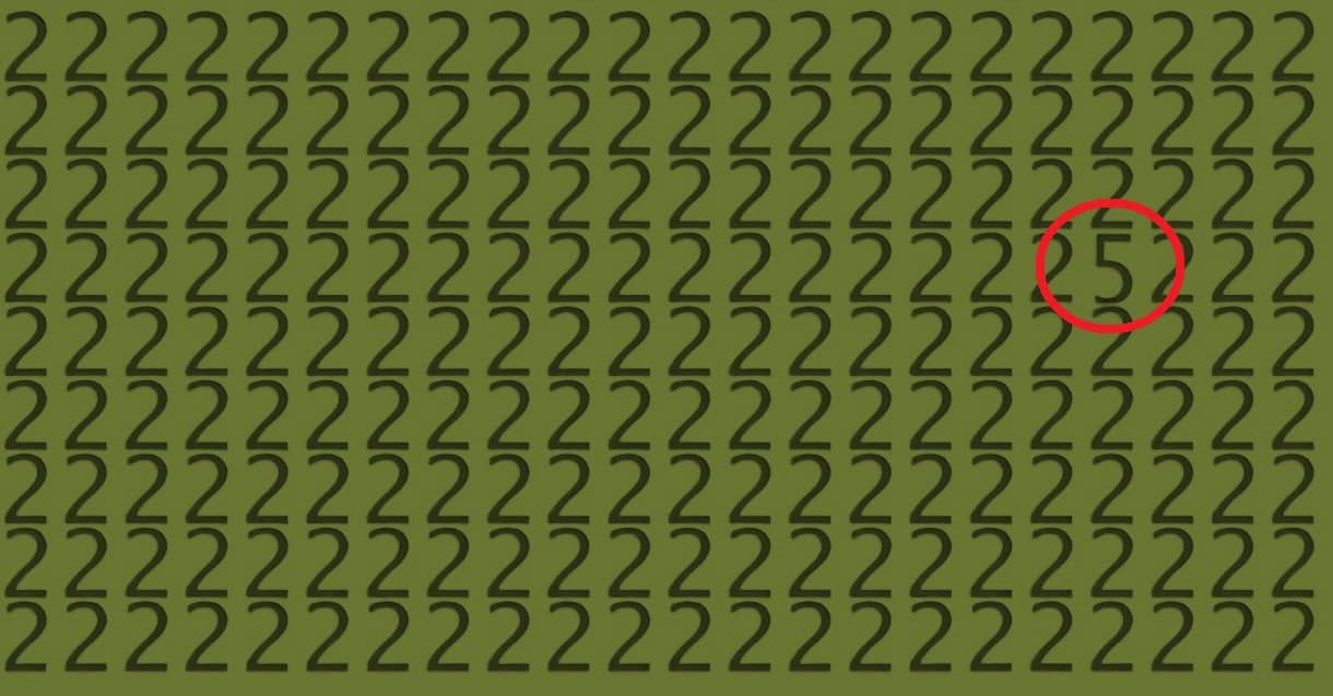 Seek and Find: Can you find the number 5 in this image within 5 seconds?