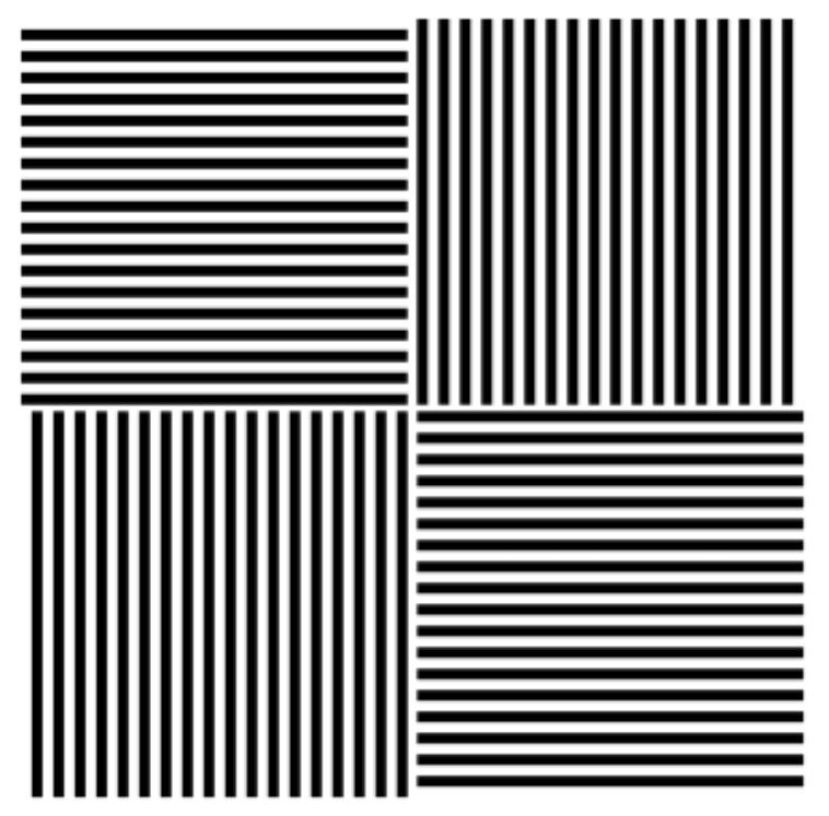 Optical Illusion: Image that has a long-term effect on your brain that ...