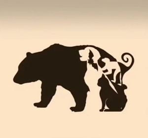 Optical Illusion: Can you spot all the animals hidden in this image in ...