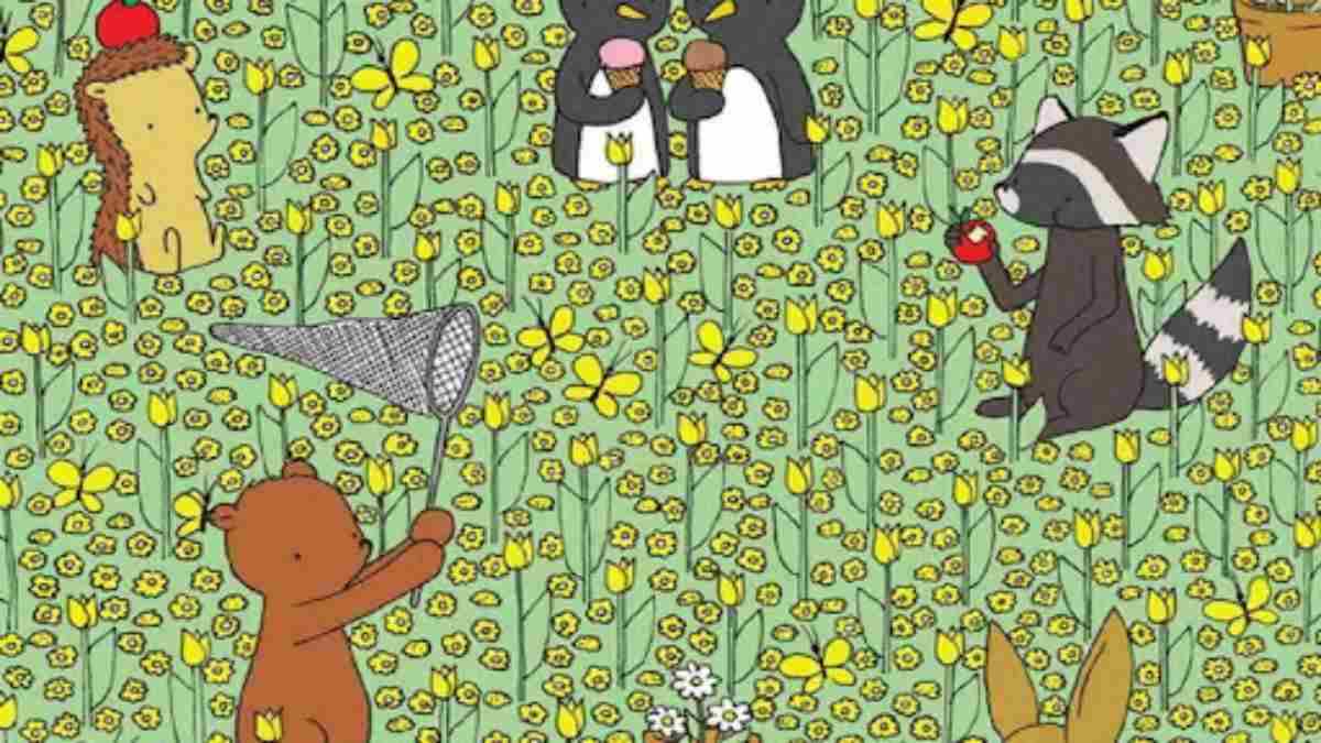 Optical Illusion: Can you find the bee hiding in this picture?