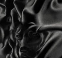 Optical Illusion: What you see in the image reveals you are a natural ...