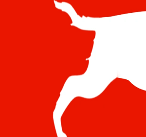 Optical Illusion: What you see at first glance tells how you handle ...