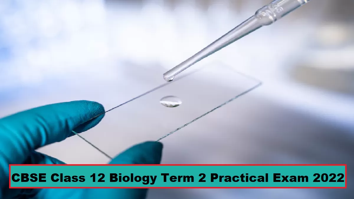 (Term 2) CBSE Class 12 Biology Practical Exam 2022: File, Project ...