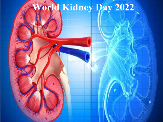 World Kidney Day 2022: Check Date, Theme, History, Significance, and Chronic Kidney Disease here