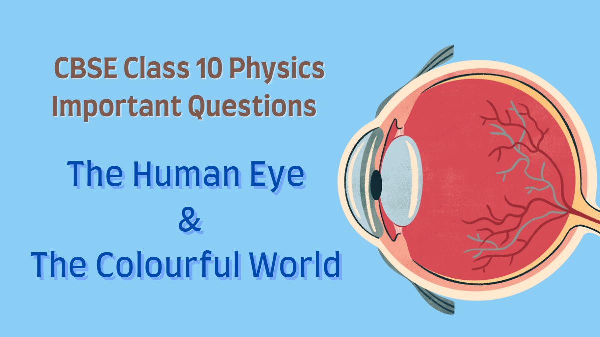CBSE Class 10 Physics Human Eye Important Questions And Answers For 2023