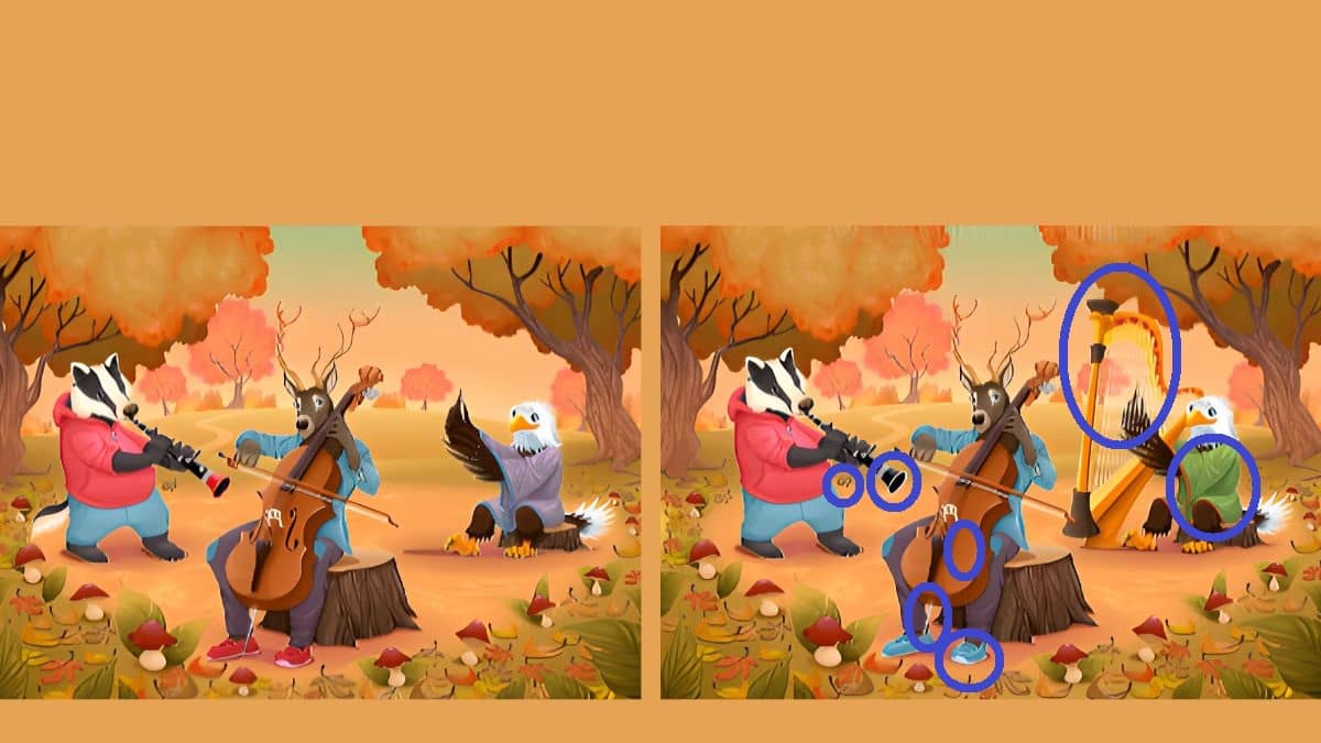 Spot The Difference: Can you spot 7 differences in 31 seconds?