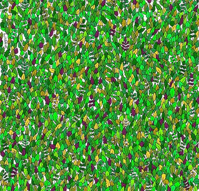 You have Hawk Eyes if you can Spot the Frog in 13 Seconds in this ...