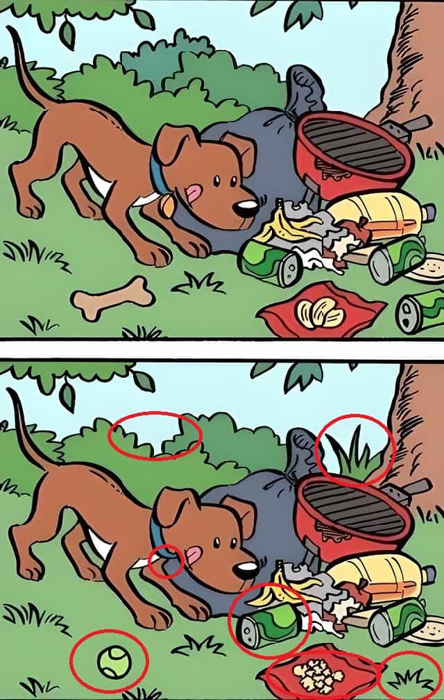 Spot The Difference: Can you spot 7 differences in 15 seconds?