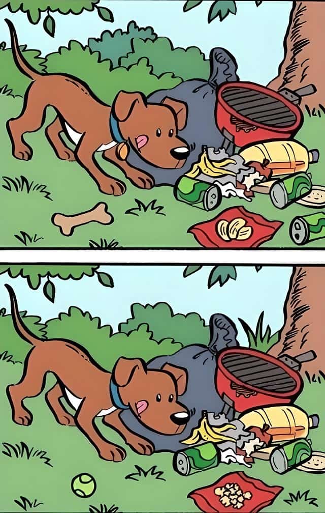Spot The Difference: Can you spot 7 differences in 15 seconds?