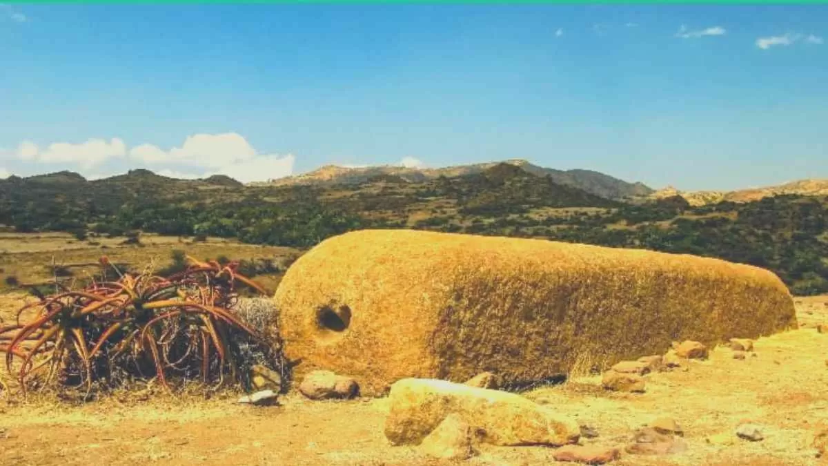 Hissss! Snakes are scary, especially when they are hidden! Find the ...