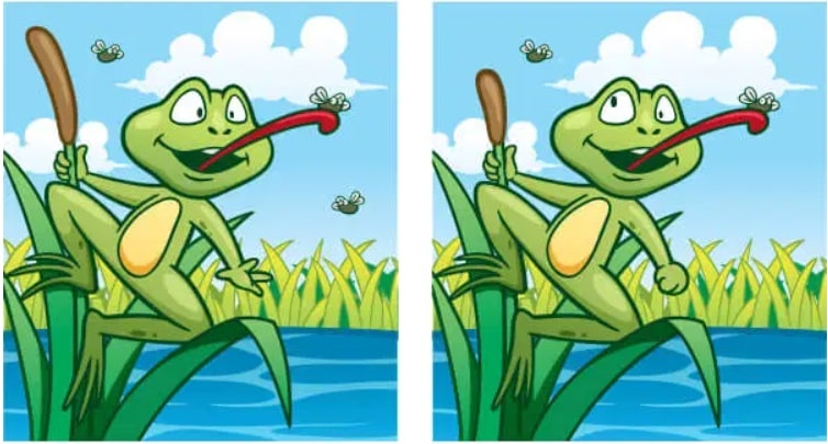 Spot The Difference: Can you spot 5 differences in 23 seconds?