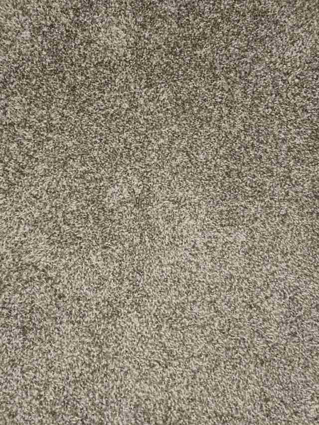 Optical Illusion: Spot the hidden spider in 5 Seconds