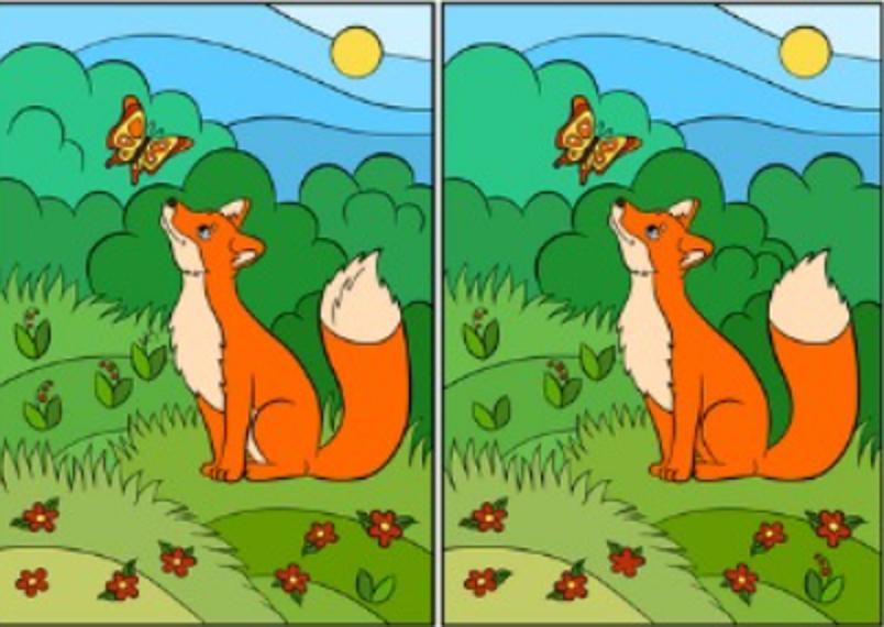 Spot The Difference: Can you Spot All 12 Differences in 27 seconds?