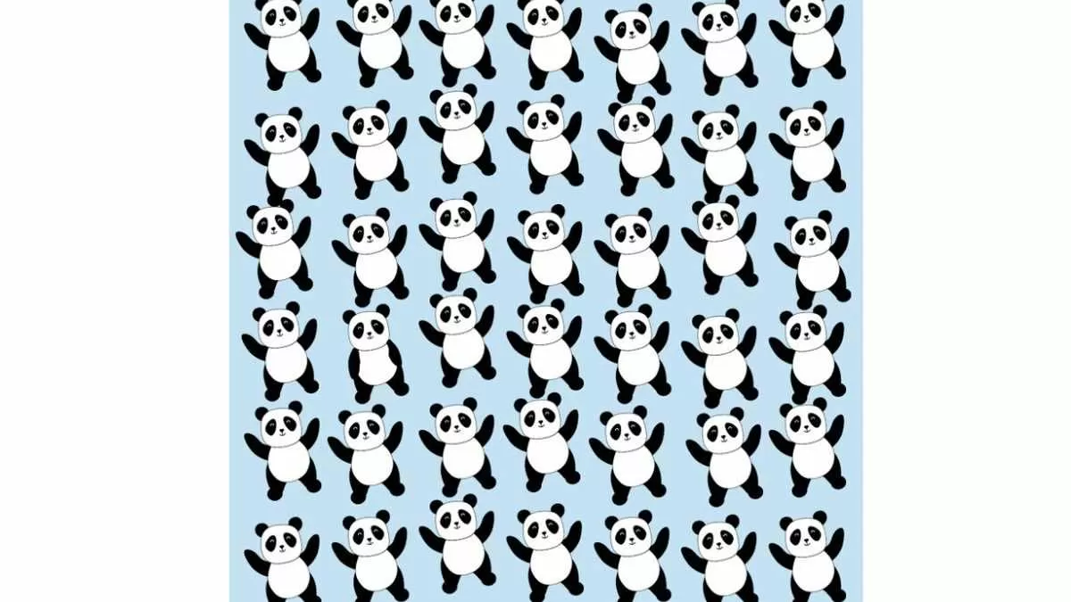 Brain Teaser Alert Please Help To Find The Escapee Panda Hidden In