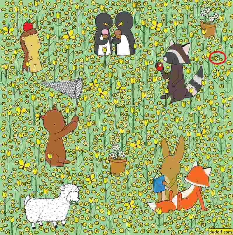 Optical Illusion: You Are a Genius if You Can Spot the Hidden Bee in 11 ...