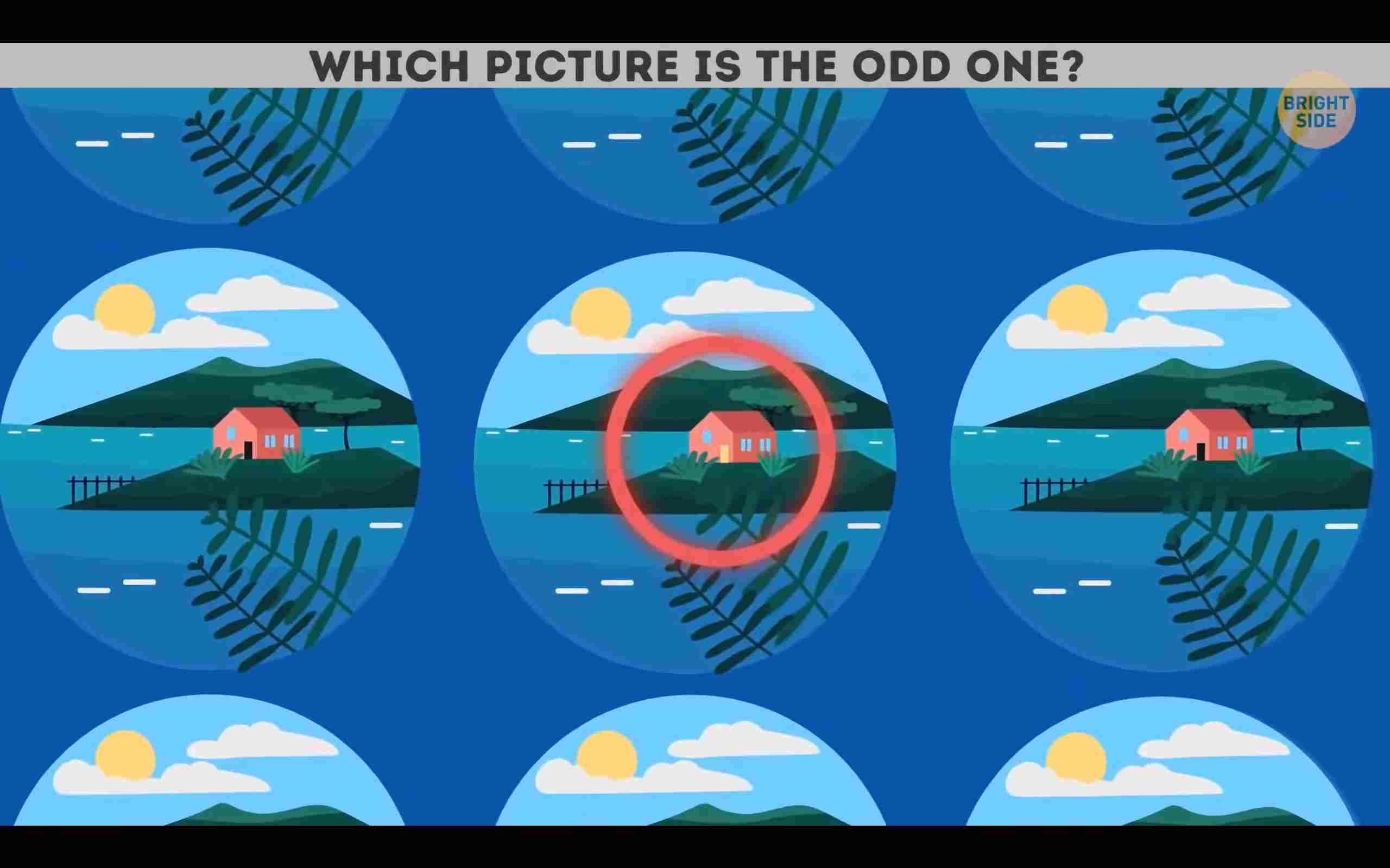 Brain Teaser: You Need To Have Eagle Eyes To Solve This Puzzle