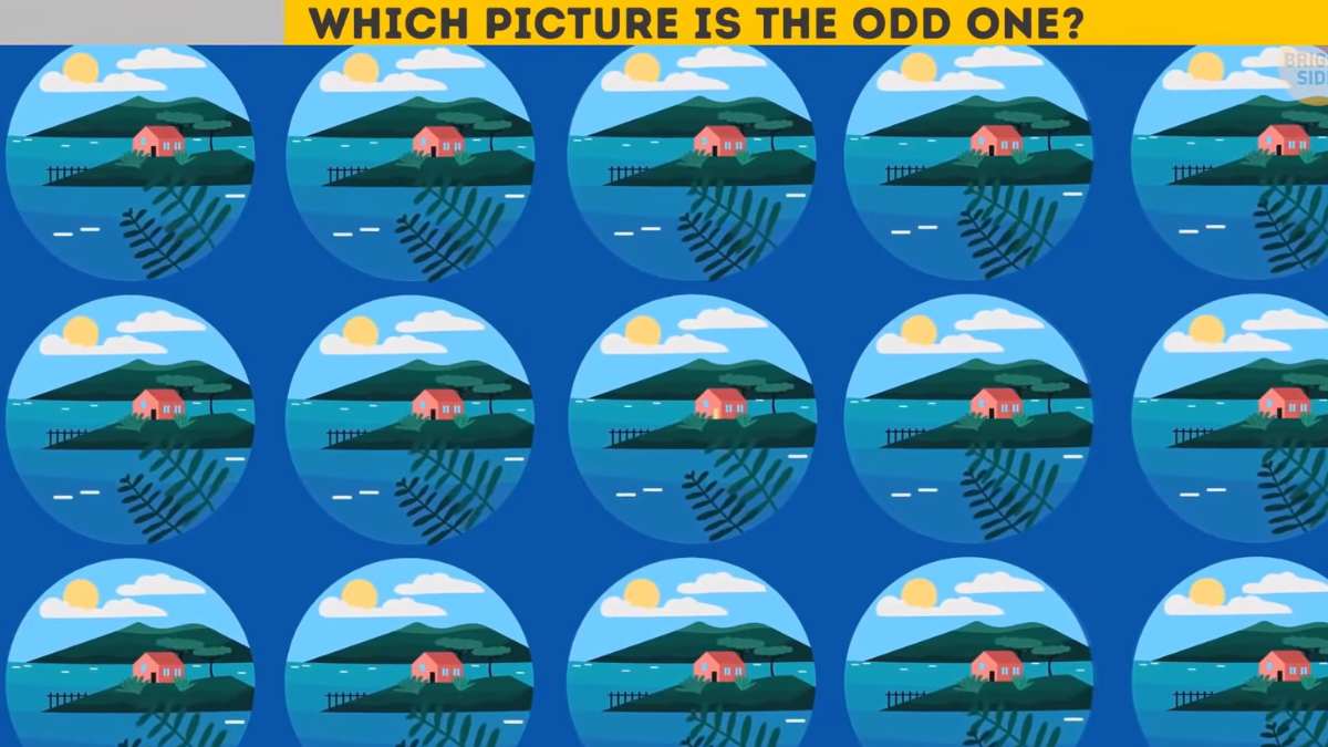 Brain Teaser: You Need To Have Eagle Eyes To Solve This Puzzle