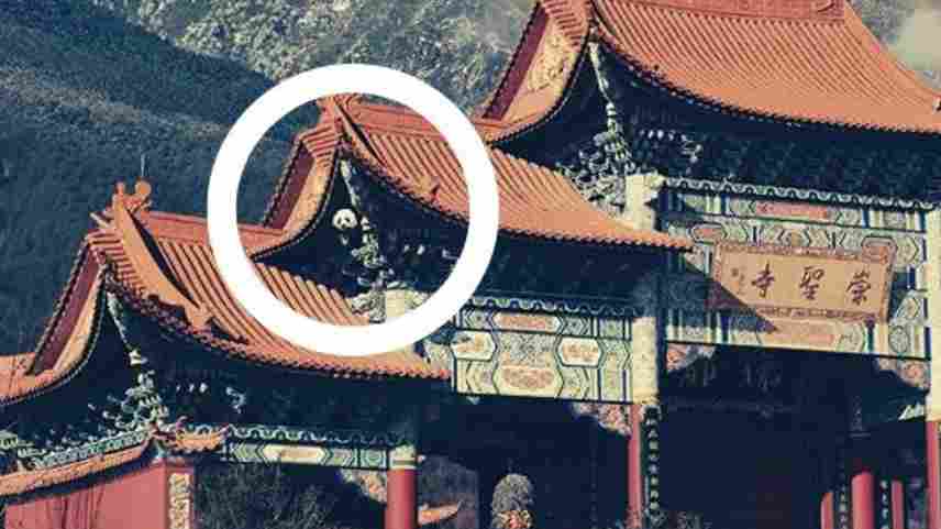 What Is The Panda Doing Around This Buddhist Temple? Find The Hidden ...