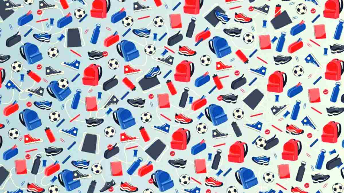 Optical Illusion Challenge: Can You Spot The Hidden School Shoe In 7 ...