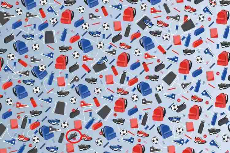 Optical Illusion Challenge: Can You Spot The Hidden School Shoe In 7 ...