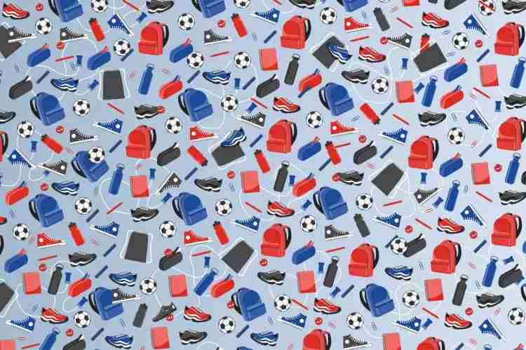 Optical Illusion Challenge: Can You Spot The Hidden School Shoe In 7 ...