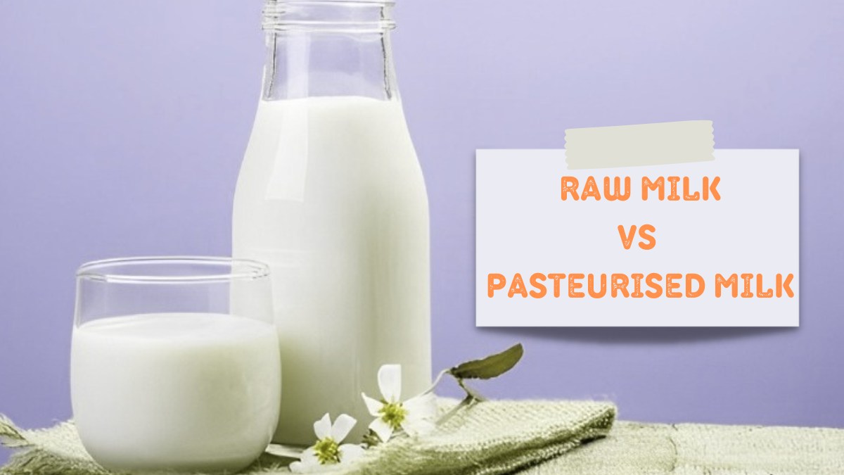 What Is The Difference Between Raw Milk And Pasteurised Milk 