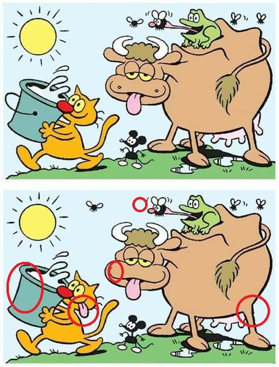 Spot the Difference: Only the sharpest eyes can spot 5 differences ...