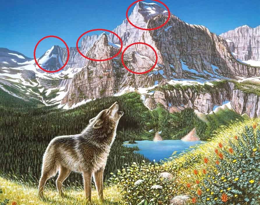 Optical Illusion: Can you spot 4 hidden wolves in the image in 6 seconds?