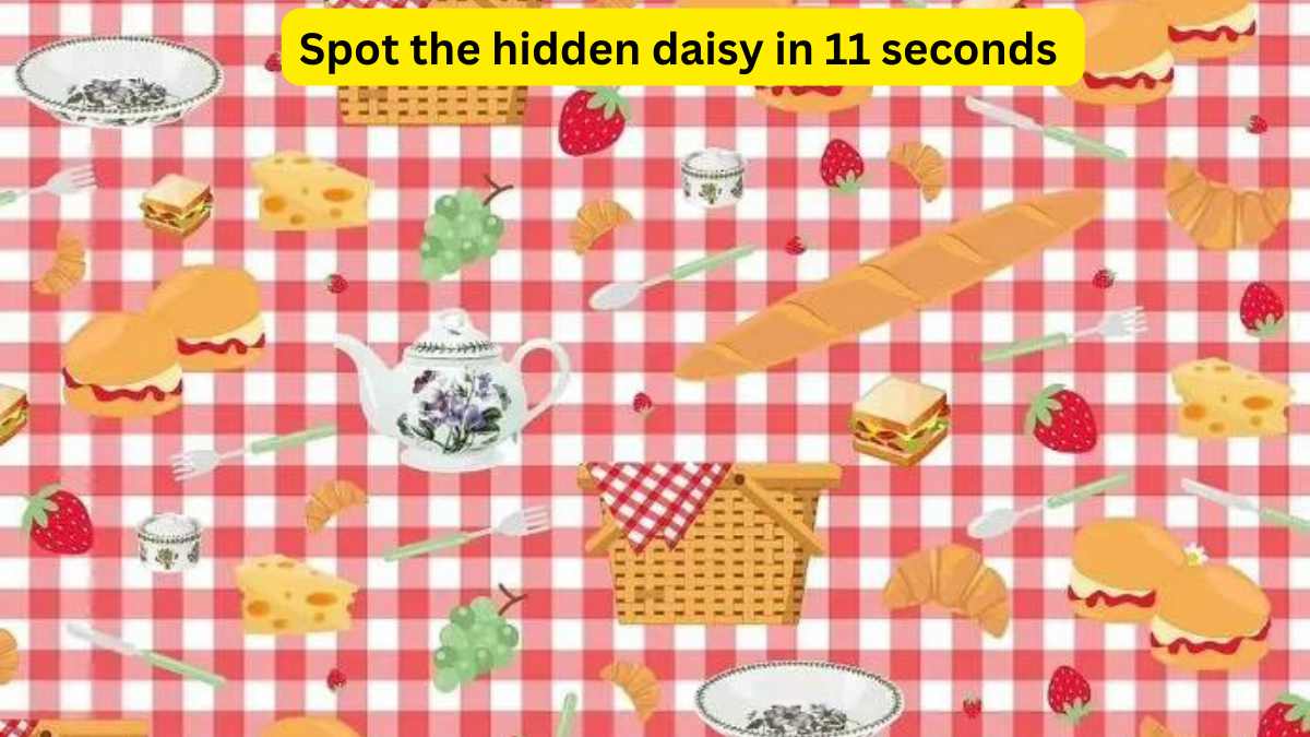 Optical Illusion IQ Test: You have hawk eyes if you can spot the hidden ... Optical Illusion IQ Test: You have hawk eyes if you can spot the hidden ...