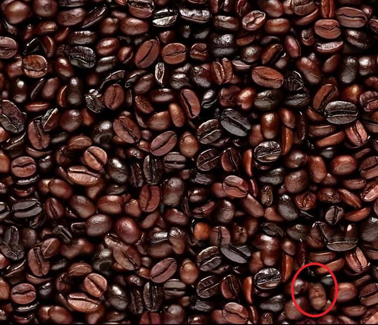 Optical Illusion: There is a hidden face in coffee beans. Can you spot ...