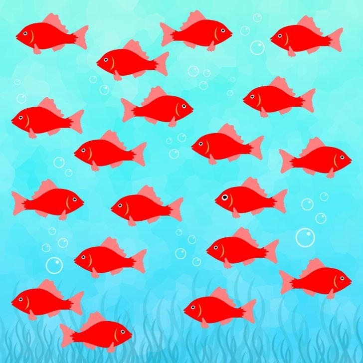 Seek and Find Puzzle: Can you spot the odd fish in the picture in 6 ...