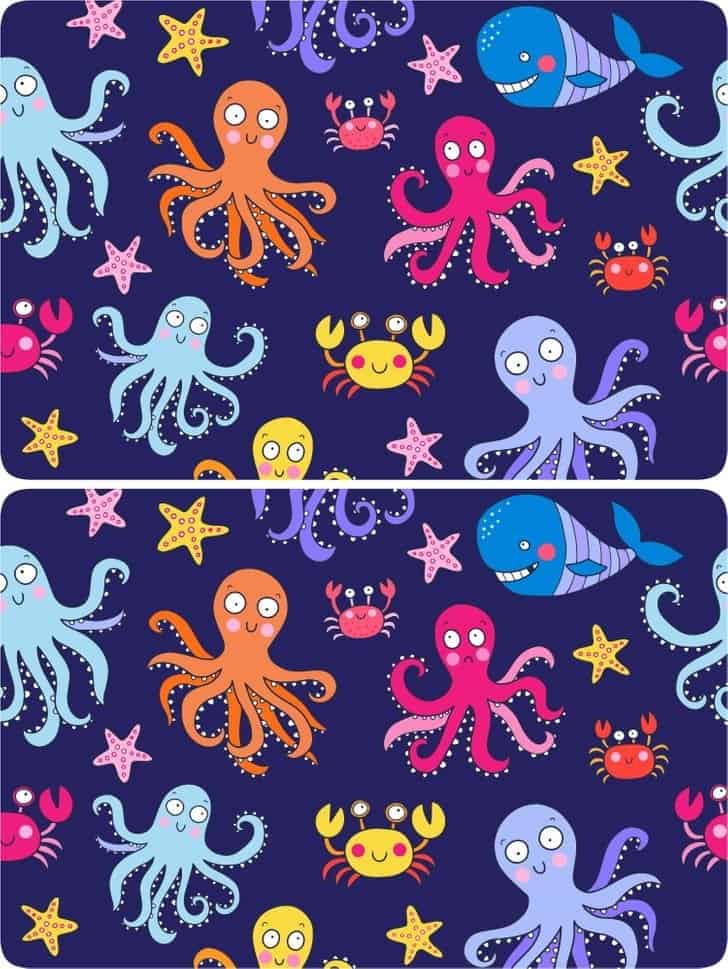 Spot the Difference: Can you spot 3 differences between the two sea ...