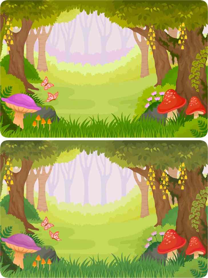 Can you spot 4 differences in 13 seconds?