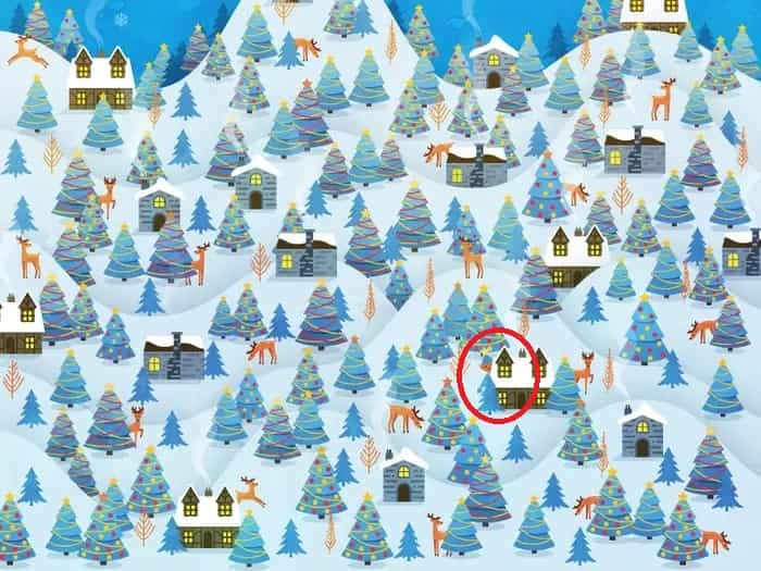 Optical Illusion: Can you spot a hidden elf in the snow in 8 seconds?