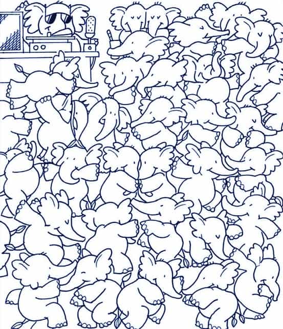 Seek and Find Puzzle: Can you find a whale among the elephants in 5 ...